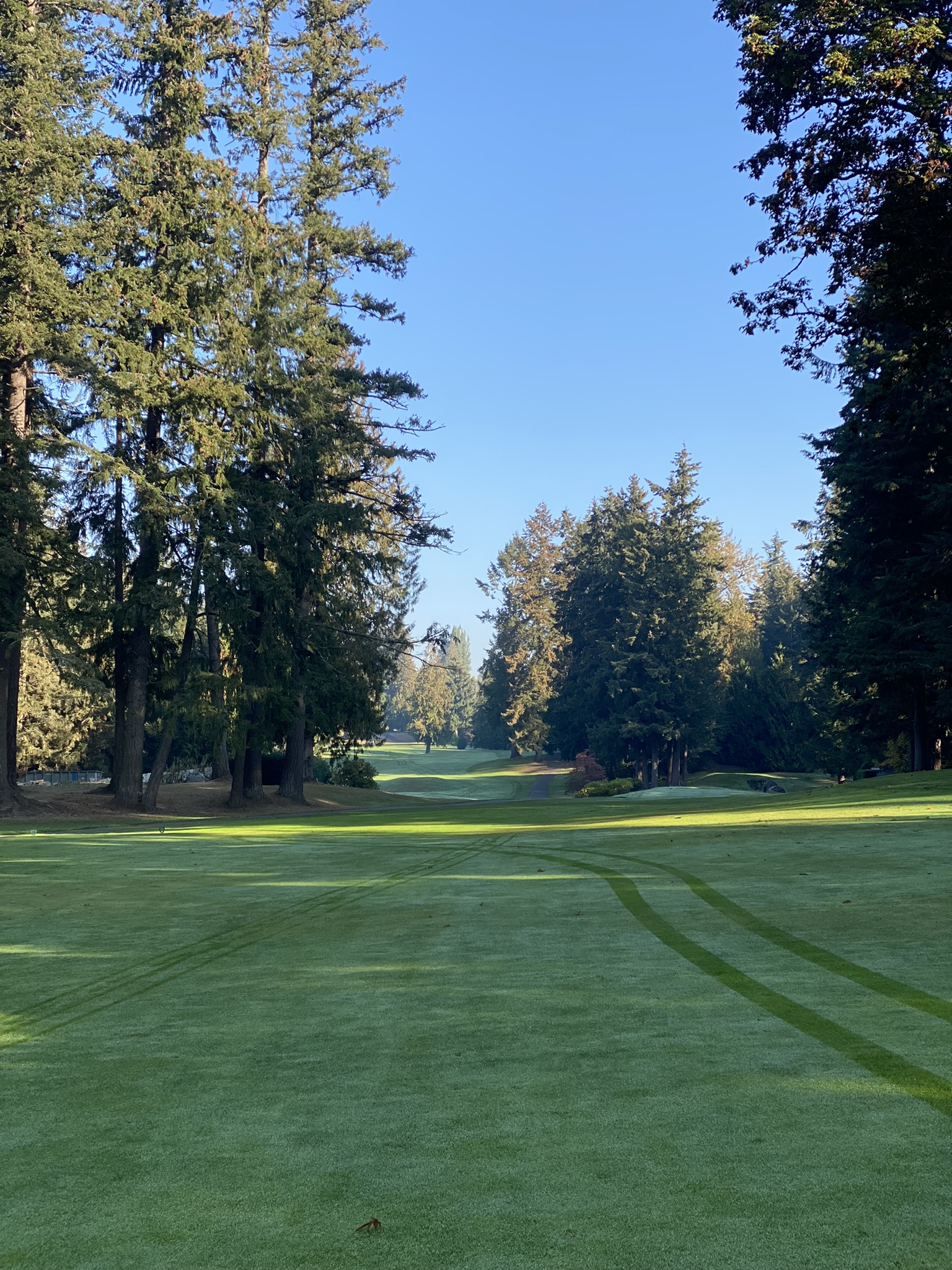 What Are Split Tees In Golf? - Fore Putt Golf