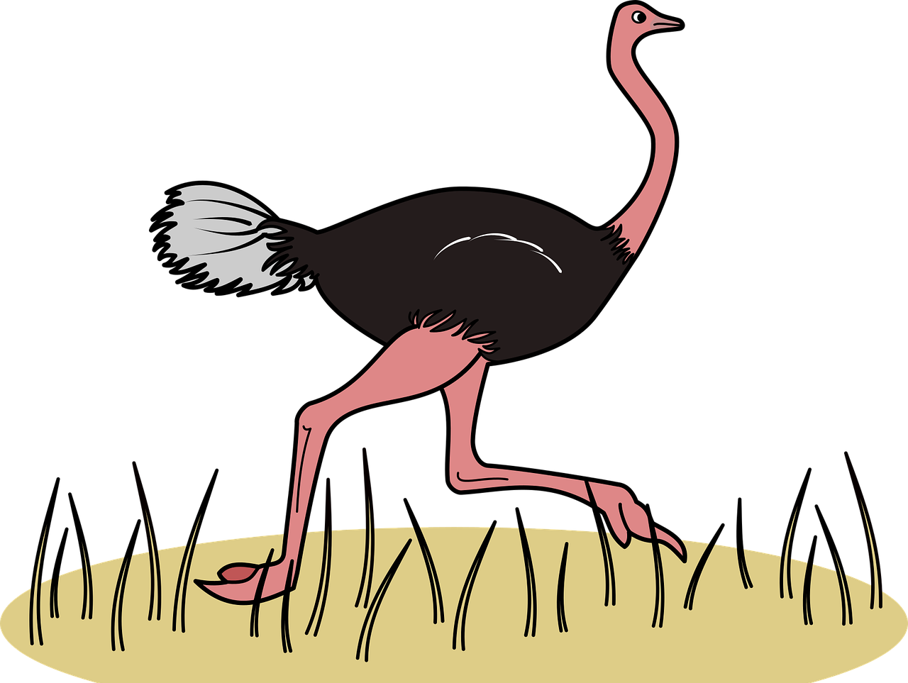 What Is An Ostrich In Golf? - Fore Putt Golf