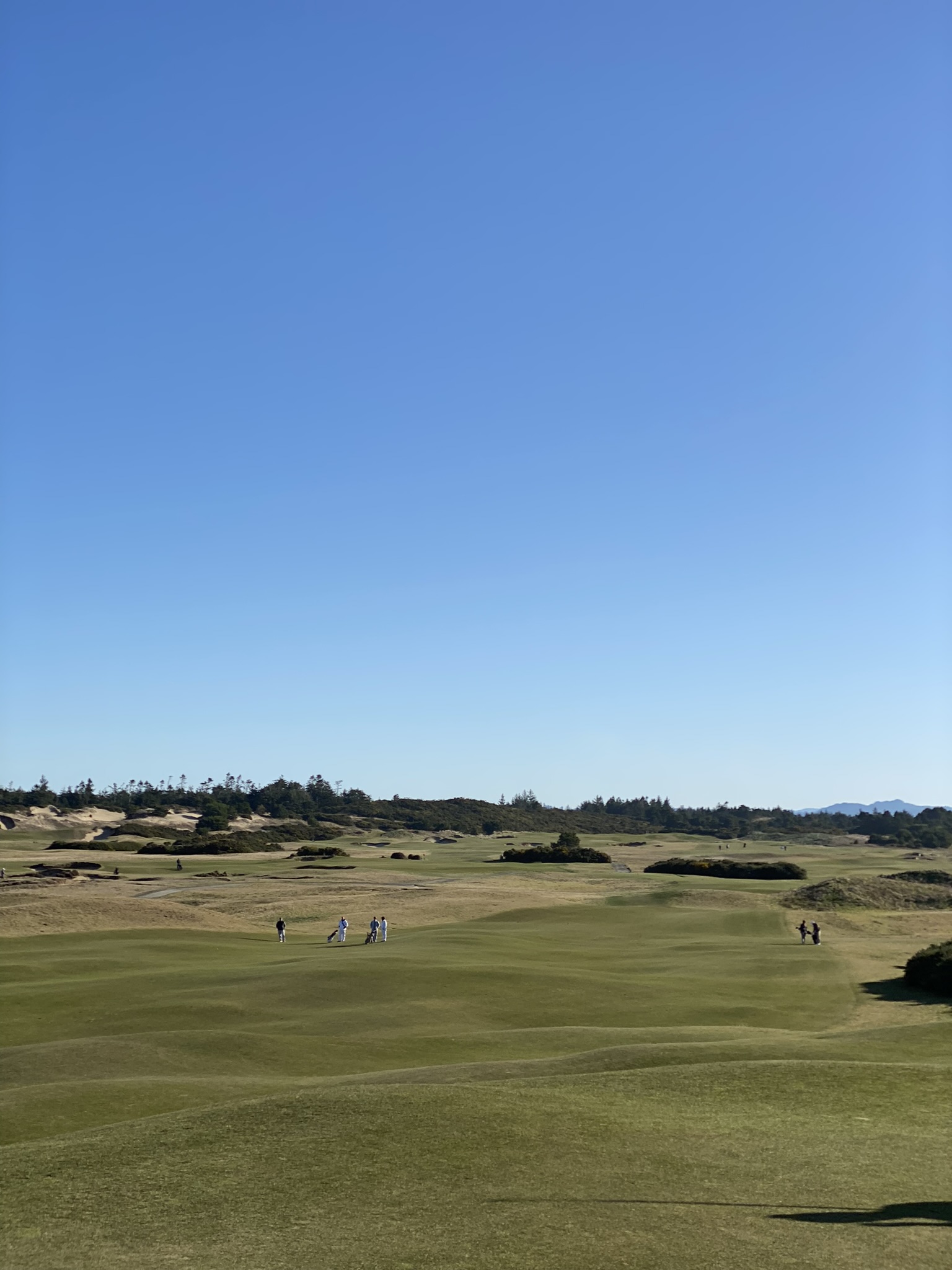 Standing Astride In Golf - Fore Putt Golf