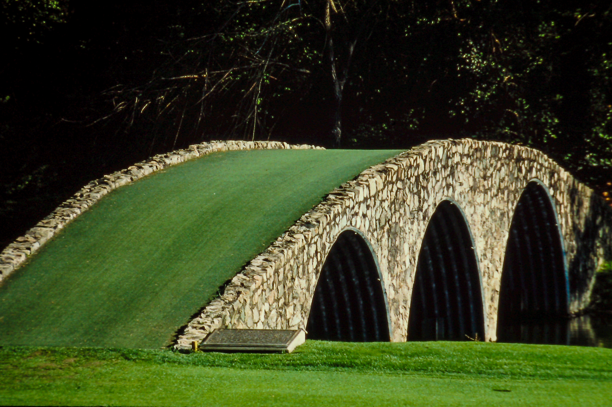 6 Best Amateur Finishes In Masters History - Fore Putt Golf